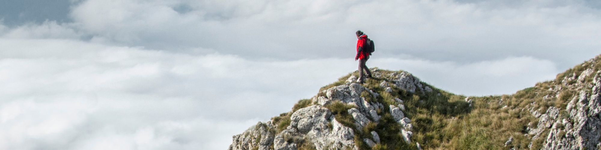 Home - Rock County First (RCF)